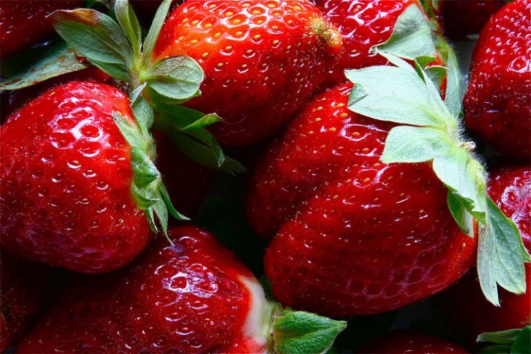 National California Strawberry Day! - CelebrateWhat